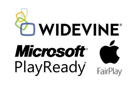 Read the 2016 DRM Deployment Guide